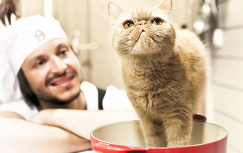 Cocinando con catman - Helios