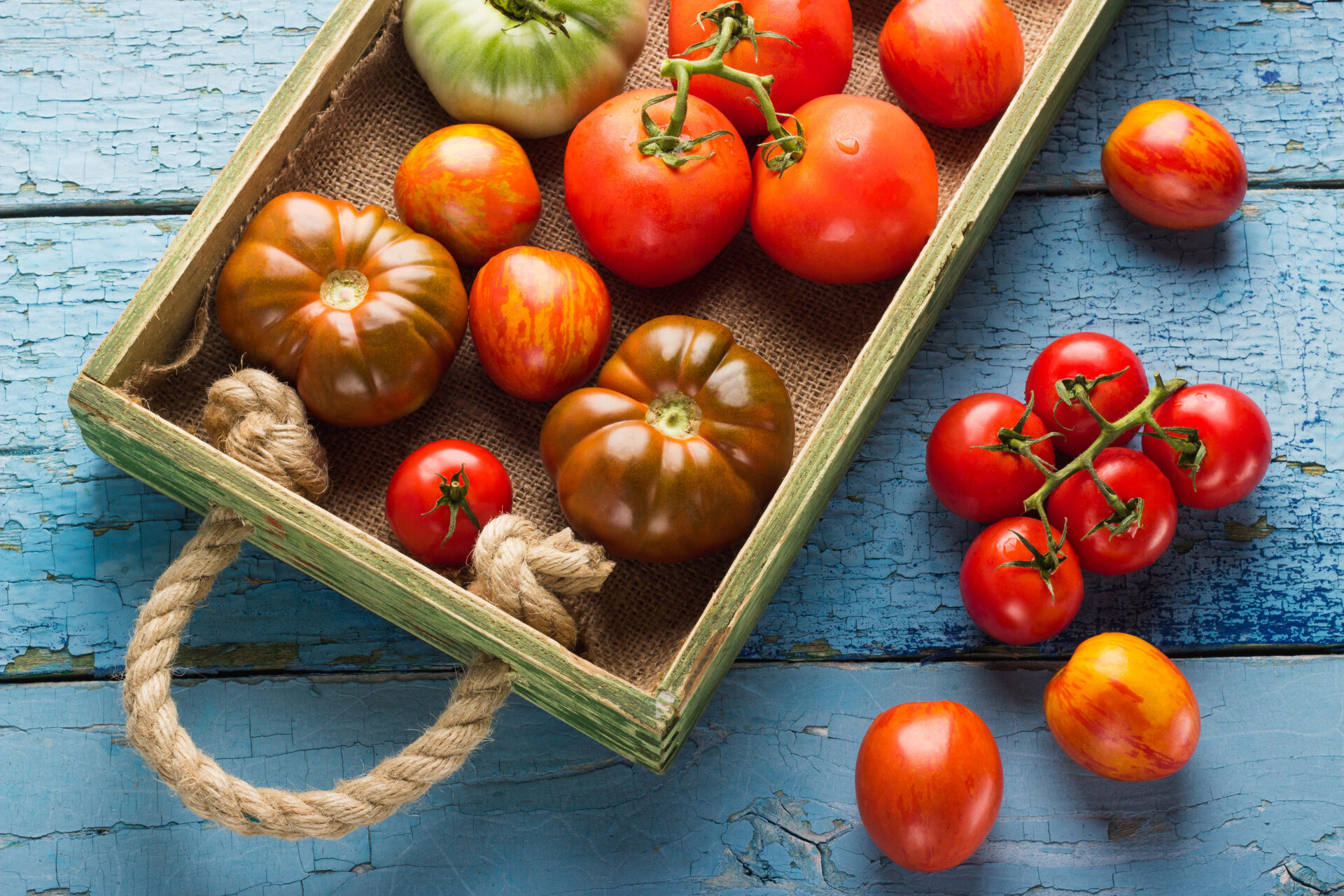 ¿Sabes cuántos tipos de tomate existen? - Helios